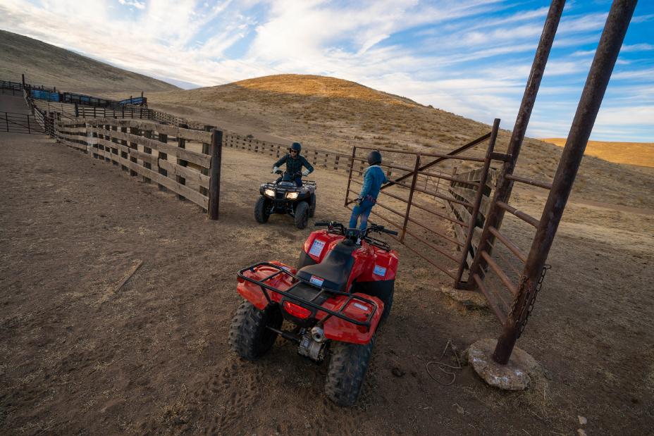 Honda’s 250-class ATVs Announced for 2021