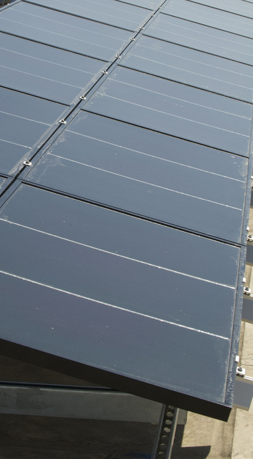 New Penguin Habitat at Aquarium of the Pacific Powered by Clean Energy ...