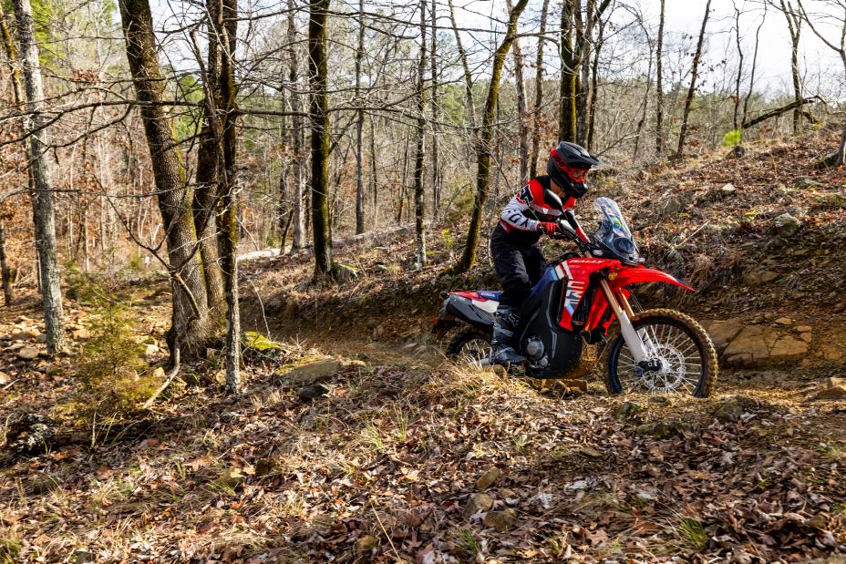 2025 Honda CRF300L Rally